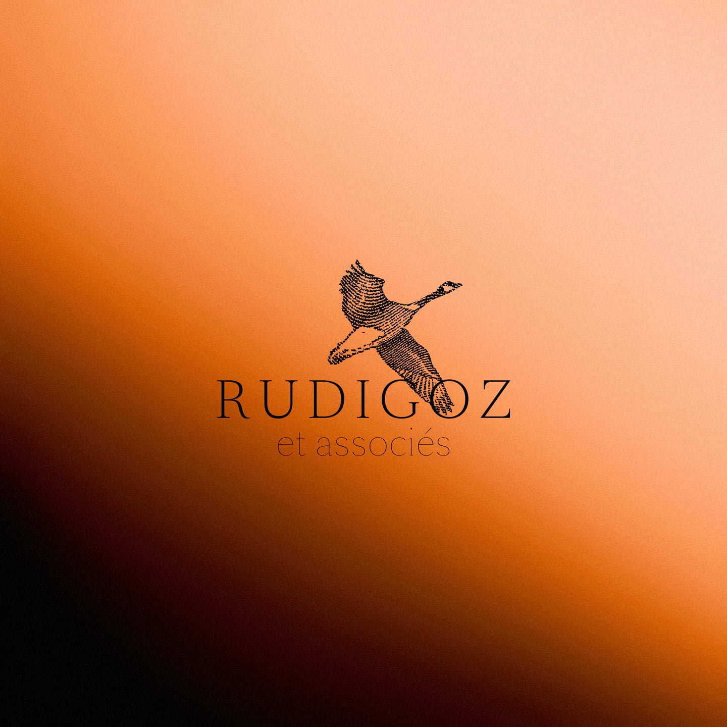 Home – rayon-design.com